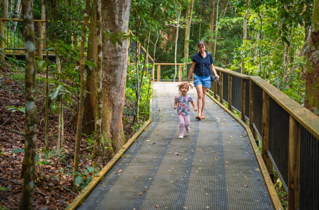 Lake Barrine Tea House - Yungaburra Village